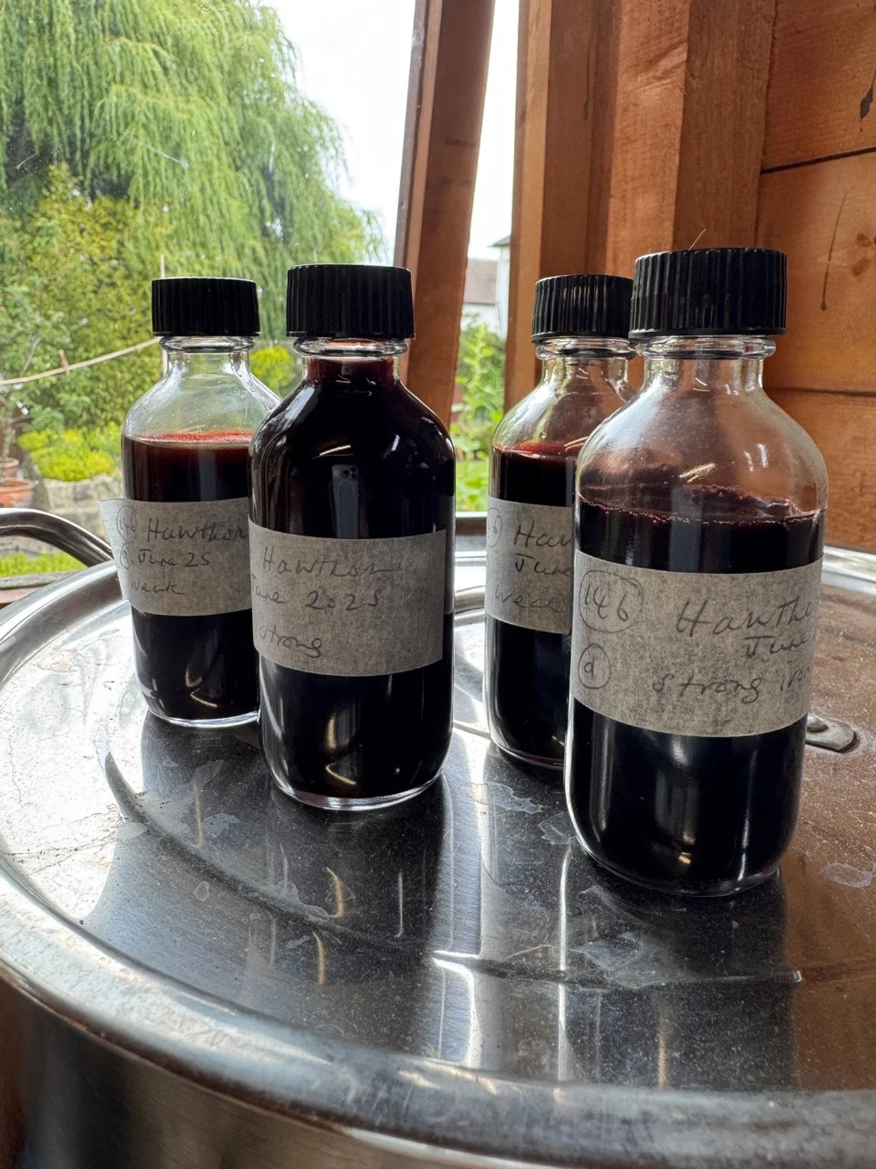 Wild Ink Making (Bookings Full) — Hopewell Studios