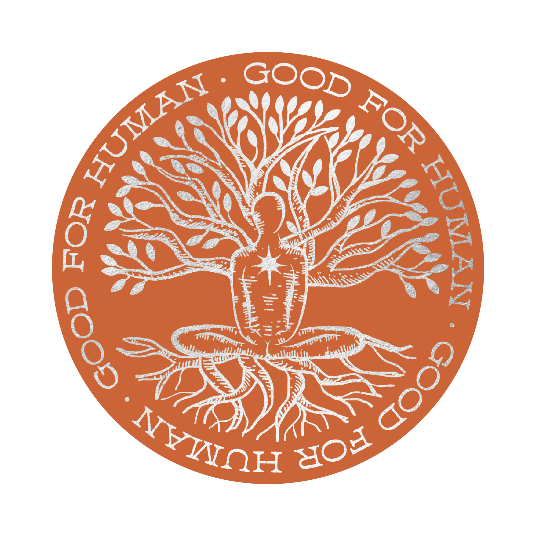 Psychedelic Coach and Somatic Sex Educator