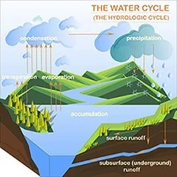 BlueTriton Brands — What Is The Water Cycle