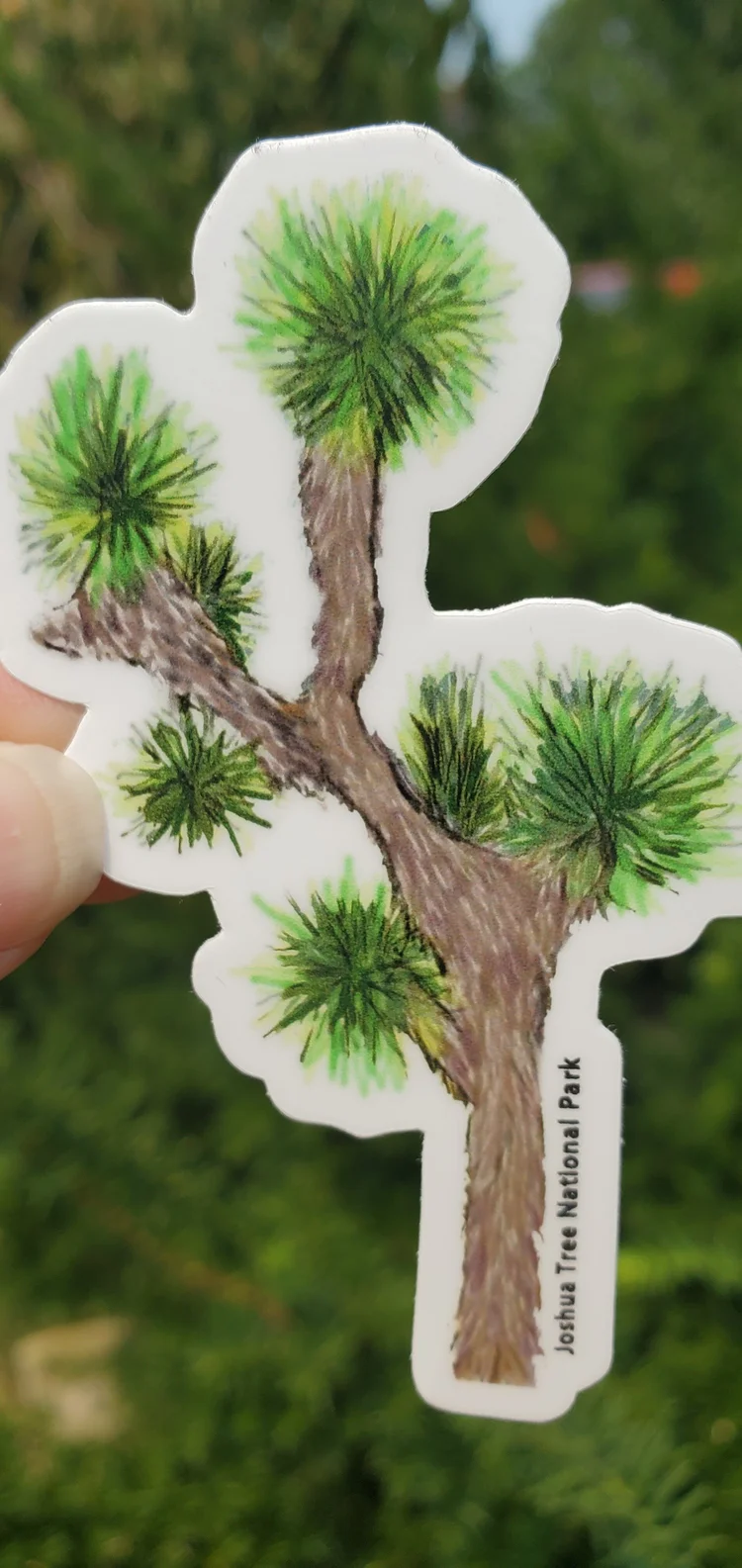 Joshua Tree National Park Sticker or Decal — National Parks and Beyond
