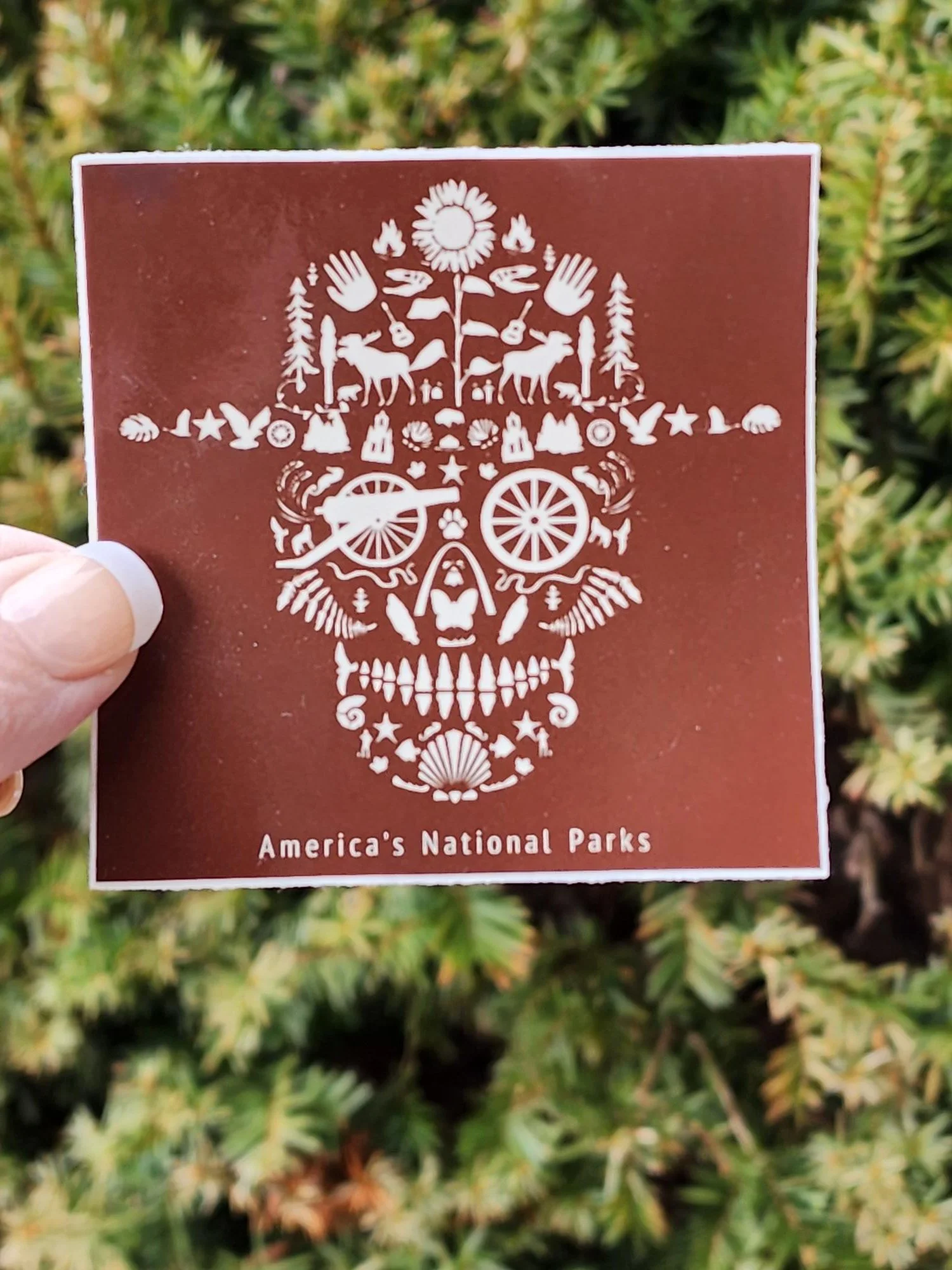 Explore the Outdoors with National Parks and Beyond Products