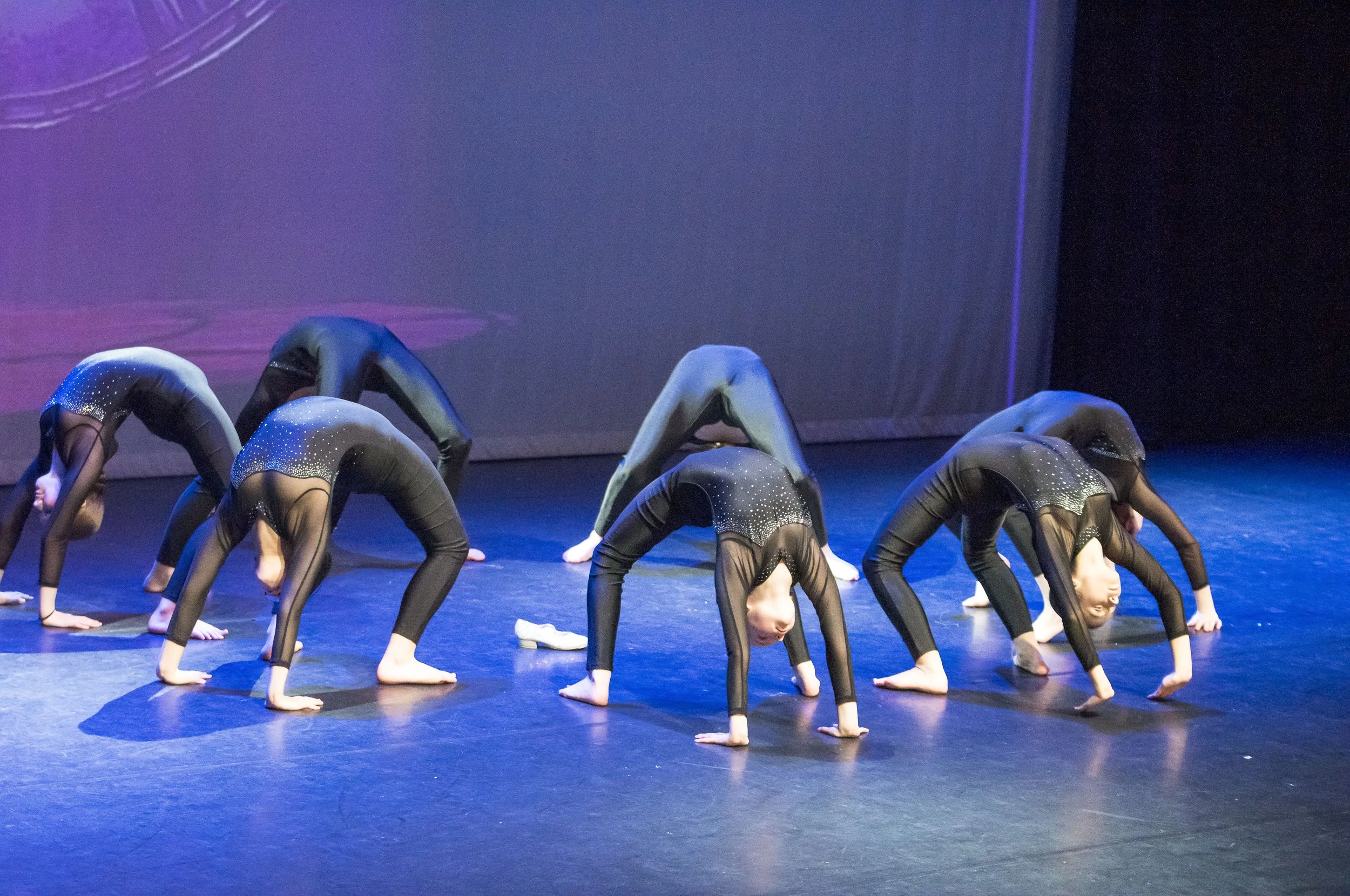 Our studios — DANSA - THE STUDIO BELFAST