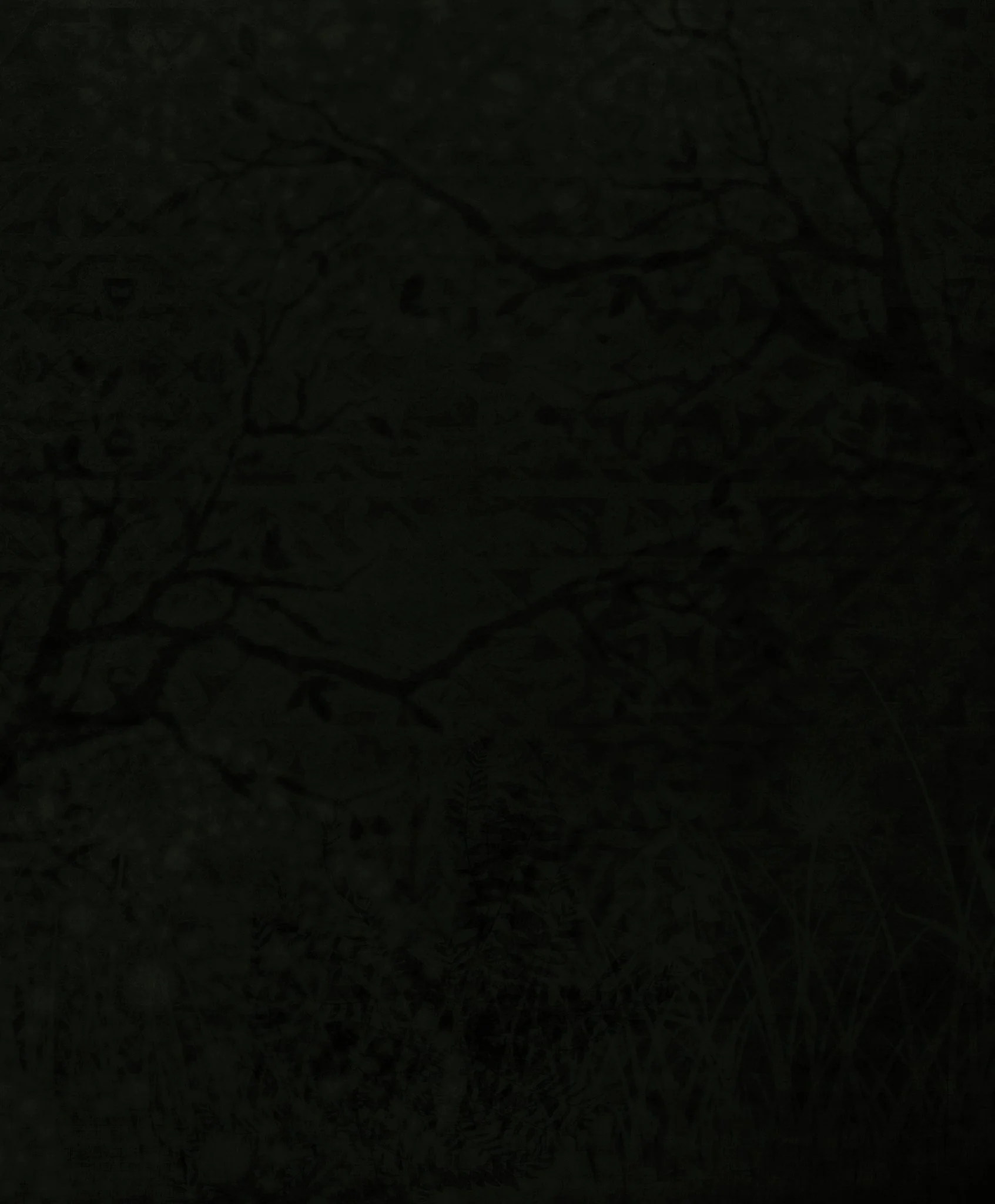 VERSE LA Cuisine | Food Menu — VERSE