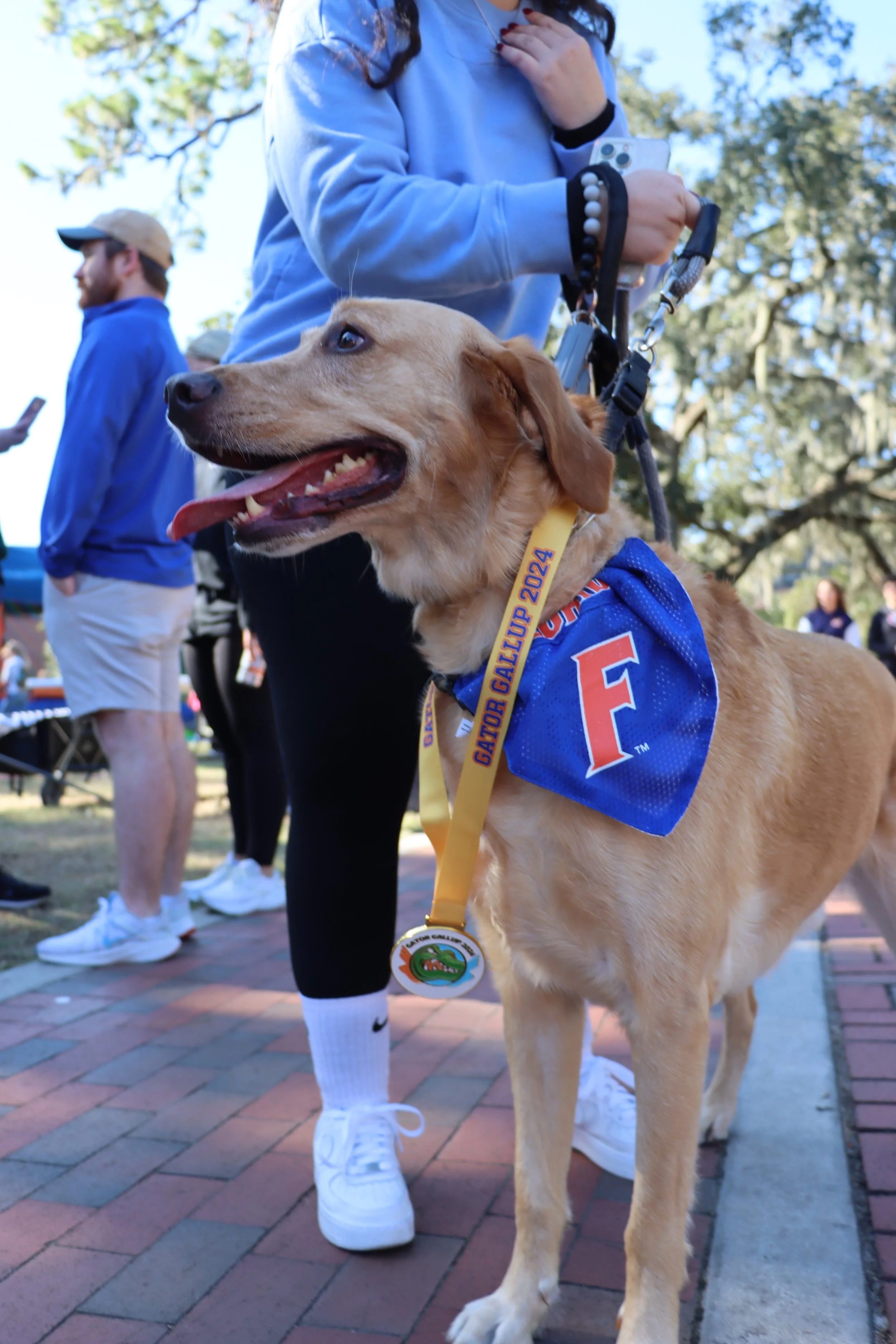 Gator Gallop — UF Homecoming & Gator Growl