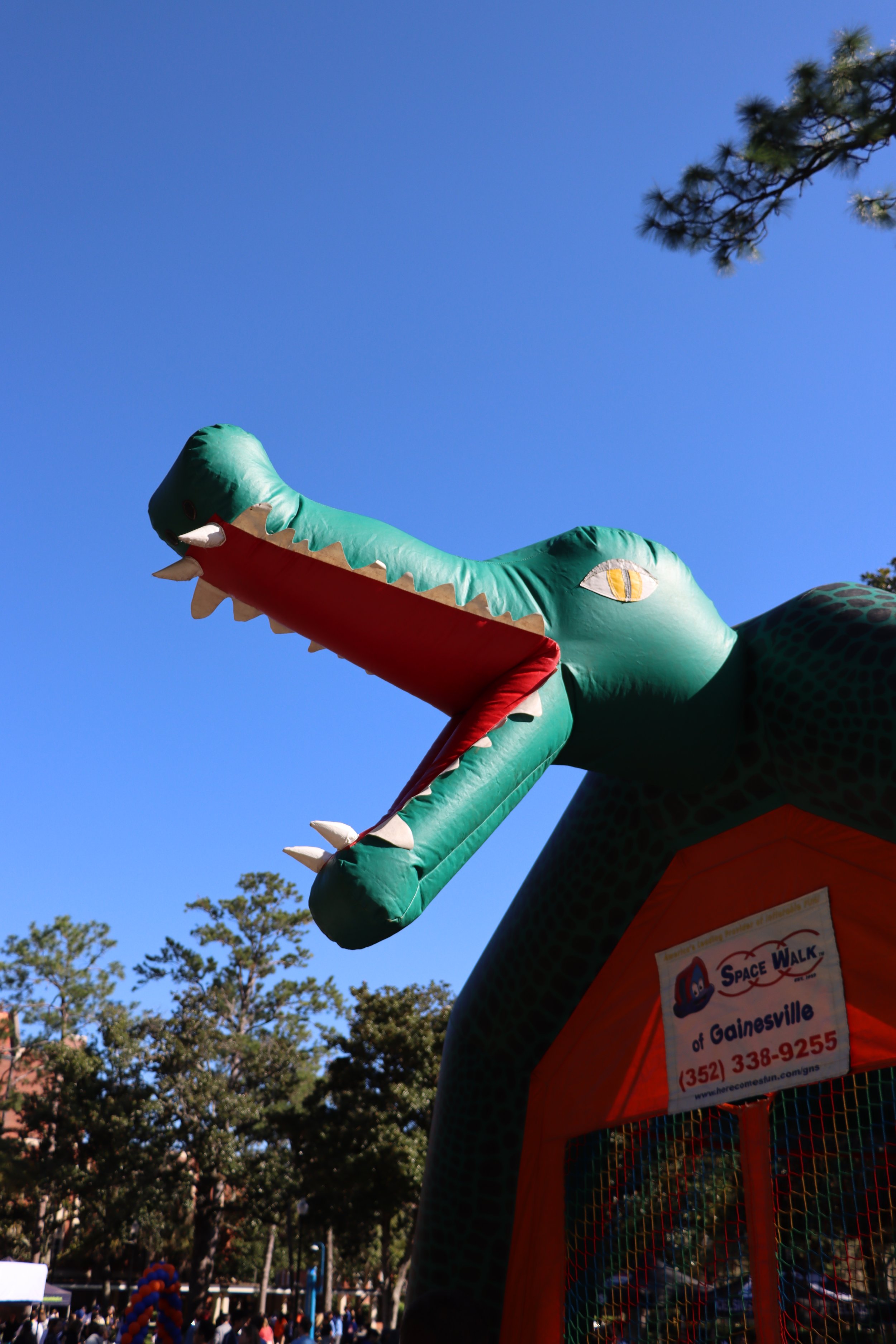 Festival — UF Homecoming & Gator Growl