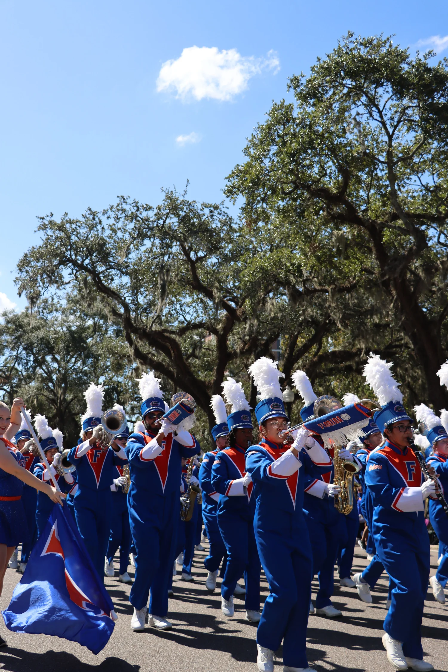 Parade — UF Homecoming & Gator Growl