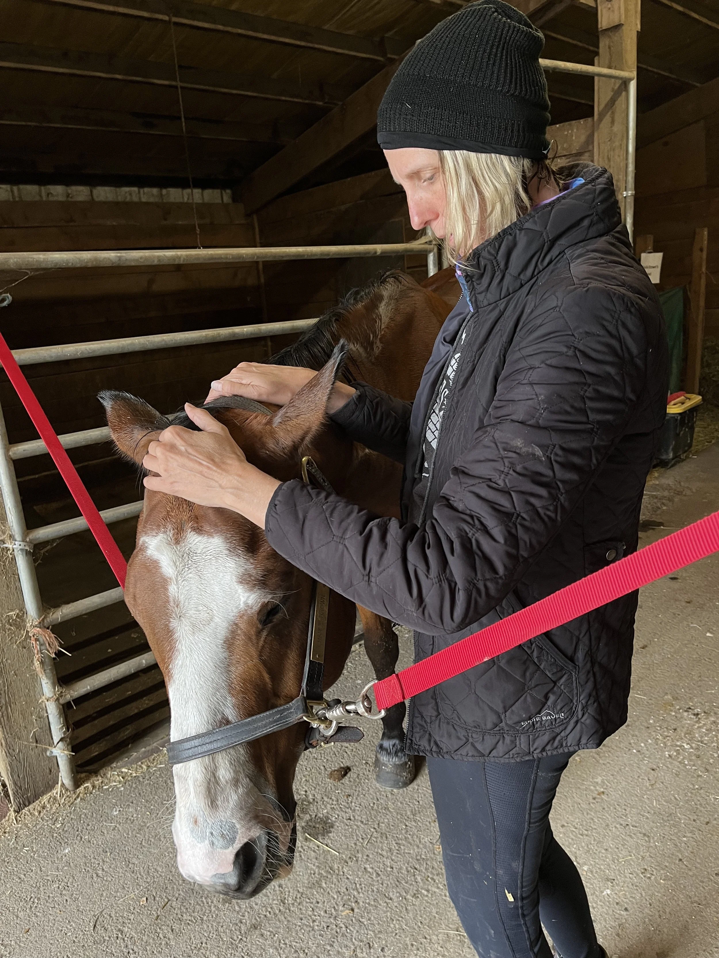 About 1 — Functionlust