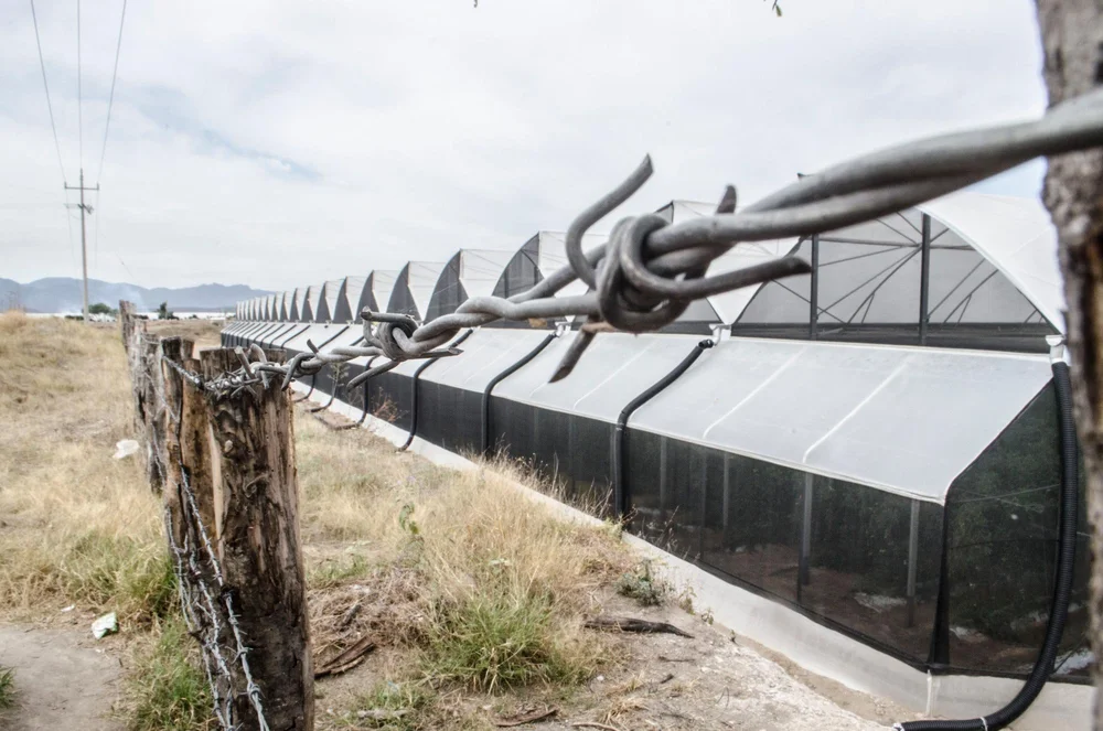 The long road to getting land back in Mexico — Ojalá