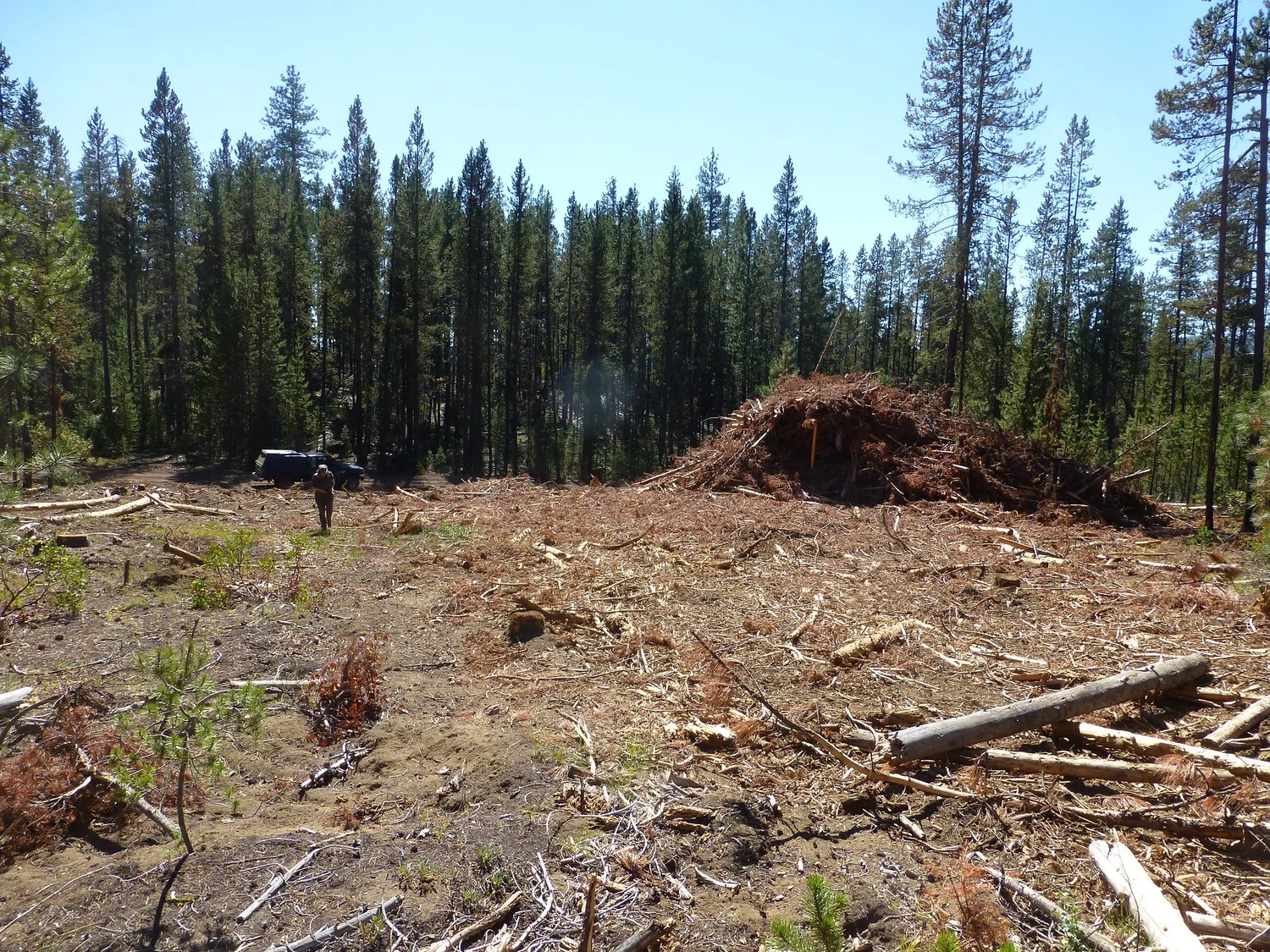 Gallery 3 — Pacific Northwest Forest Climate Alliance