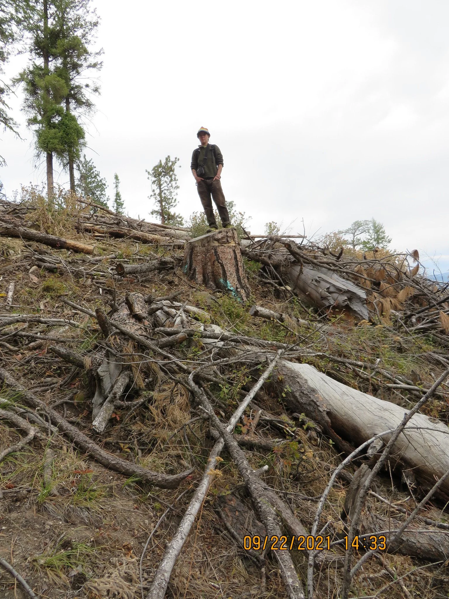 Gallery 3 — Pacific Northwest Forest Climate Alliance