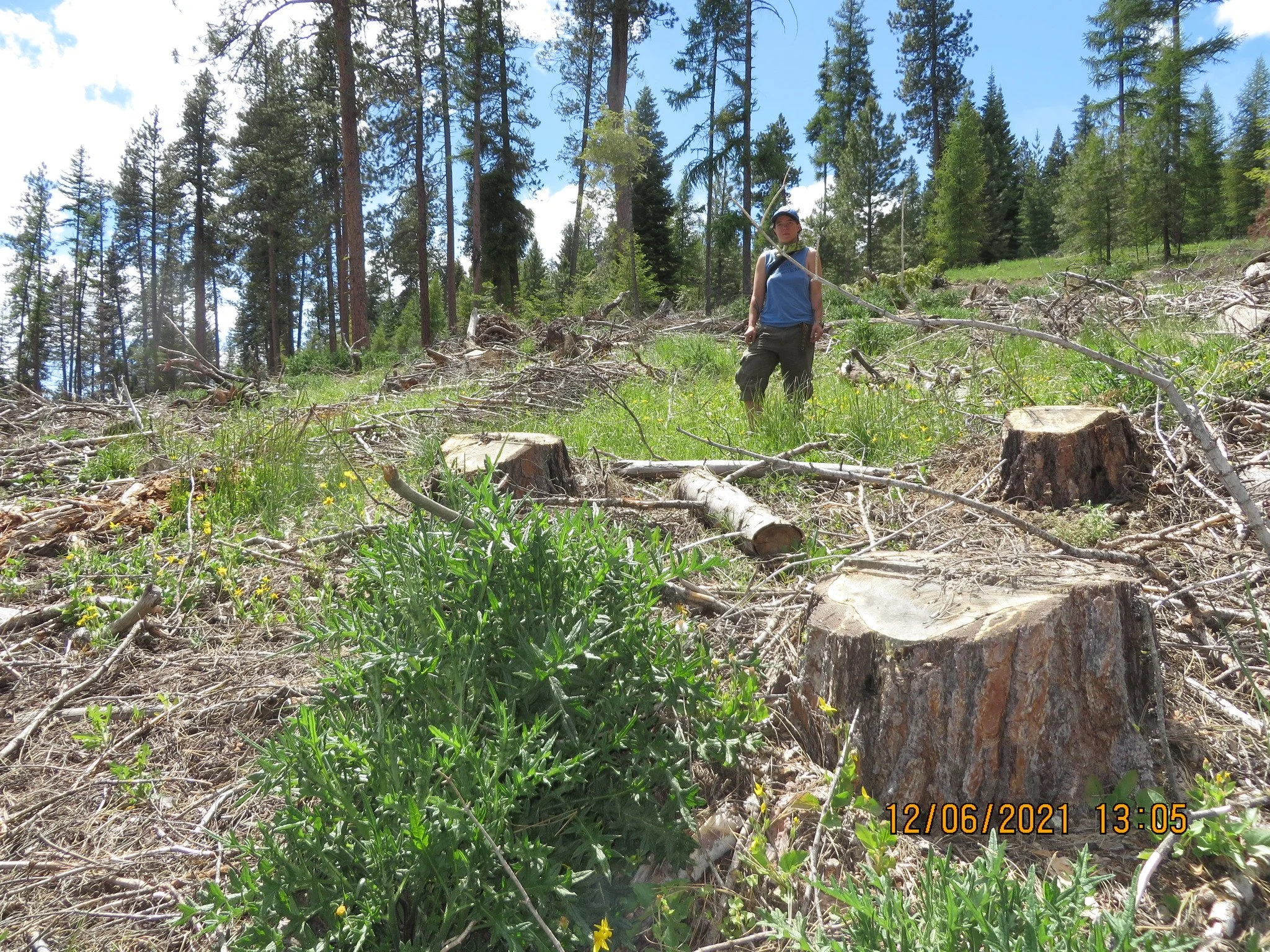 Gallery 3 — Pacific Northwest Forest Climate Alliance