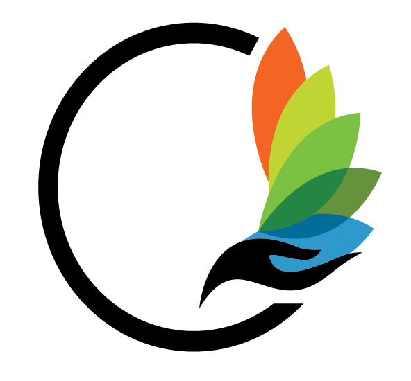 Services — ENSEMBLE THERAPY