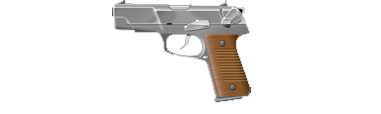 Black Dog Firearms Training INC
