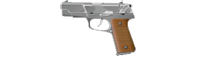 Black Dog Firearms Training INC