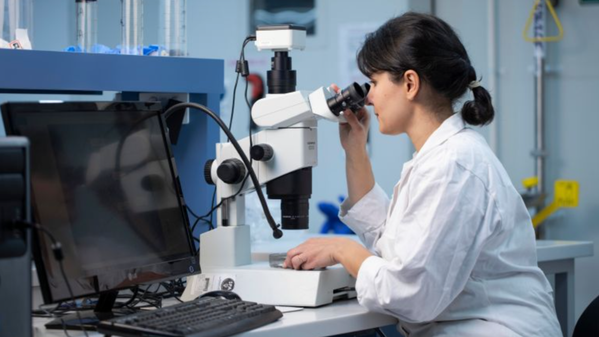 Macquarie University's Deep Tech Incubator to benefit from share of $11 ...