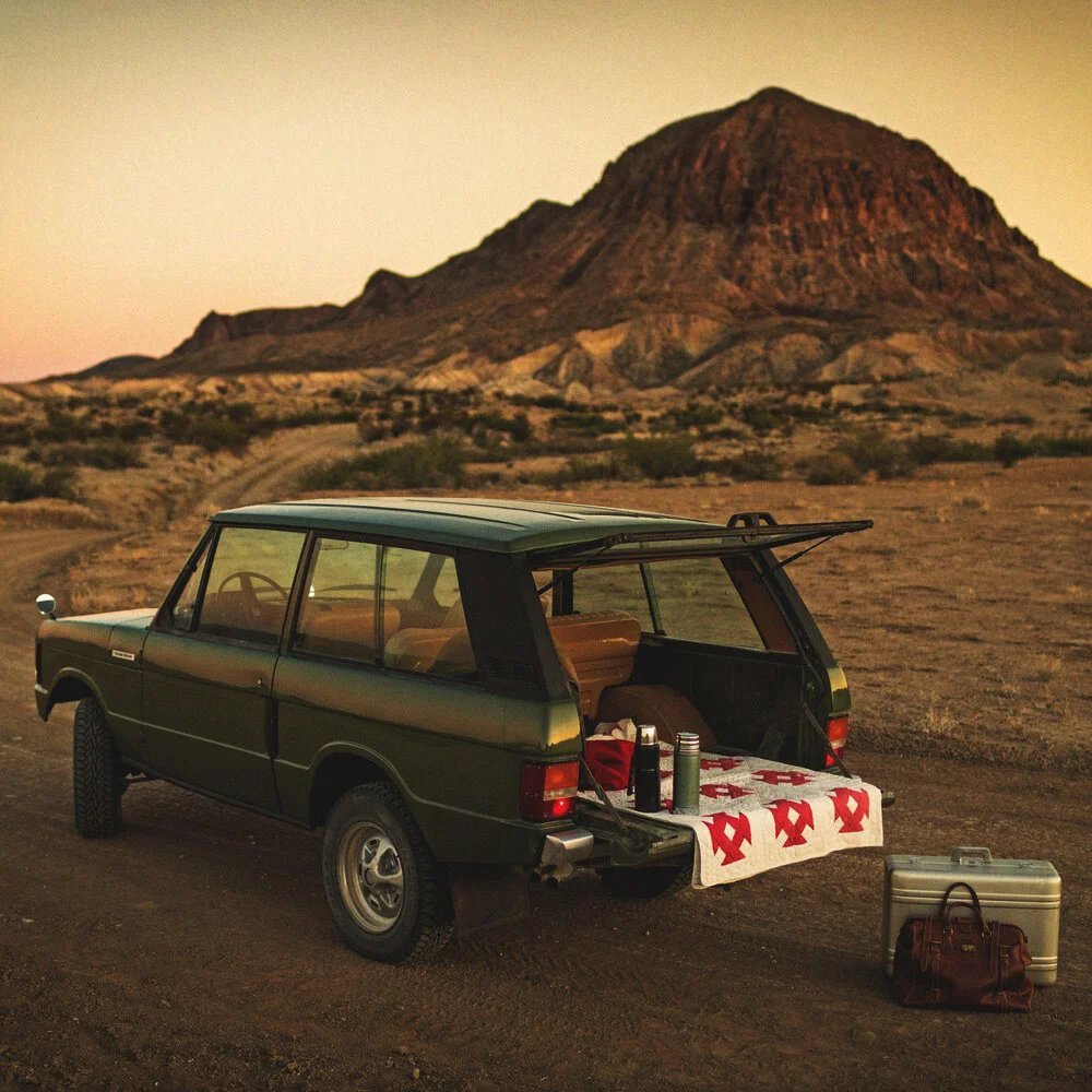 Dutch Safari Co. — Shervinator