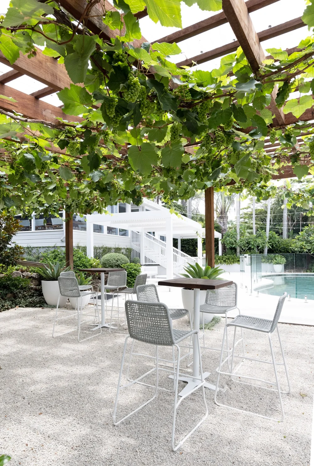 Fig Tree Restaurant — Studio Haus Co | Interior Design Studio