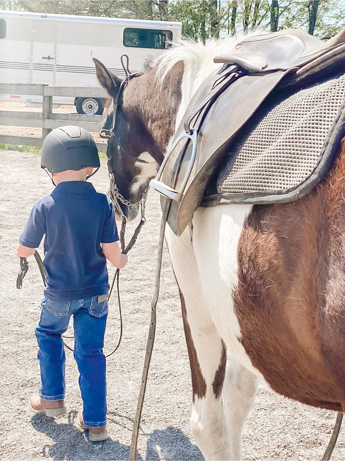 Three Sisters Stables