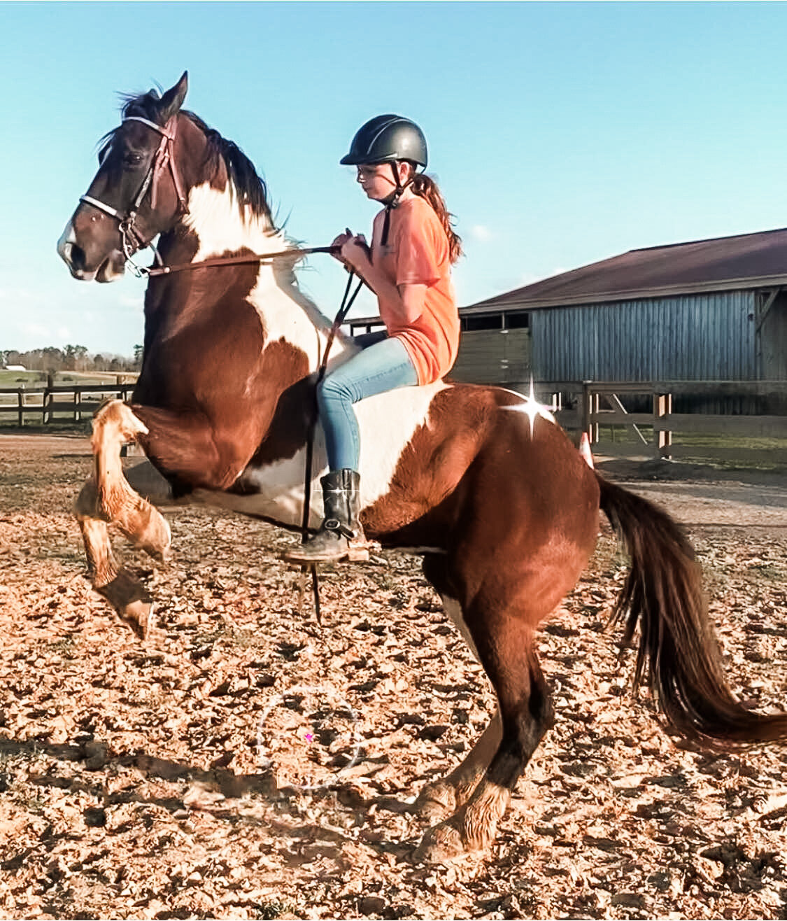Three Sisters Stables