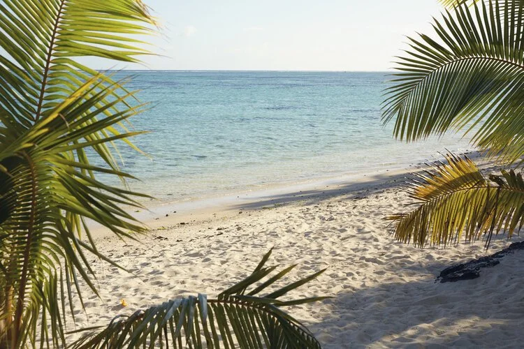 Gallery — Tamanu Beach