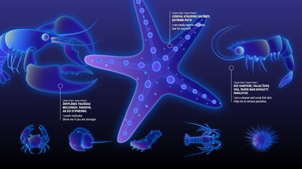 Sea Creatures & Their Superpowers — DADADA studio