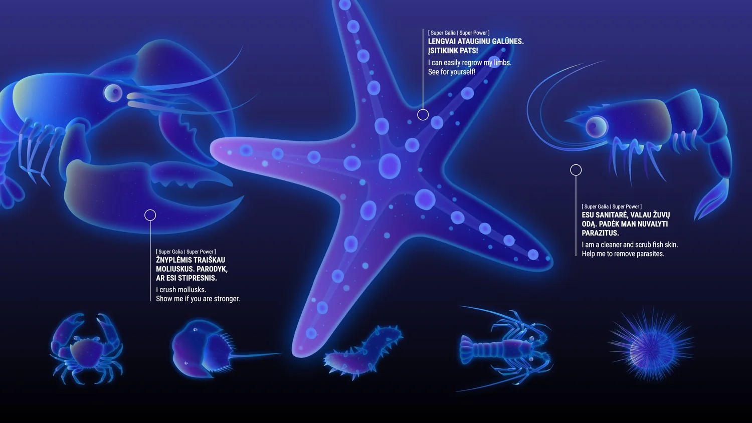 Sea Creatures & Their Superpowers — DADADA studio