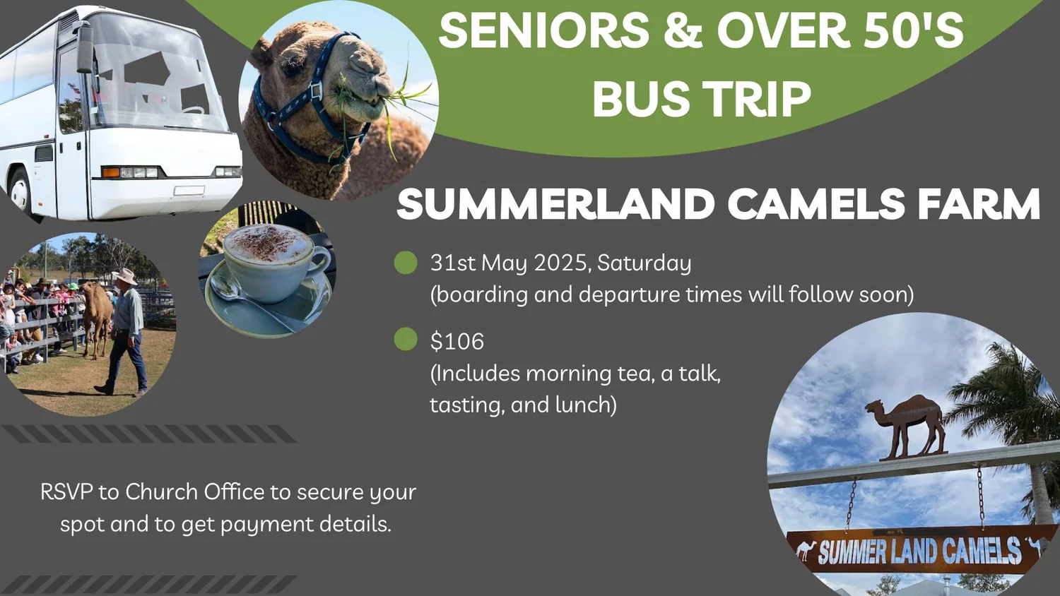 Seniors & Over 50's Bus Trip - Summerland Camels Farm — Wynnum Baptist ...