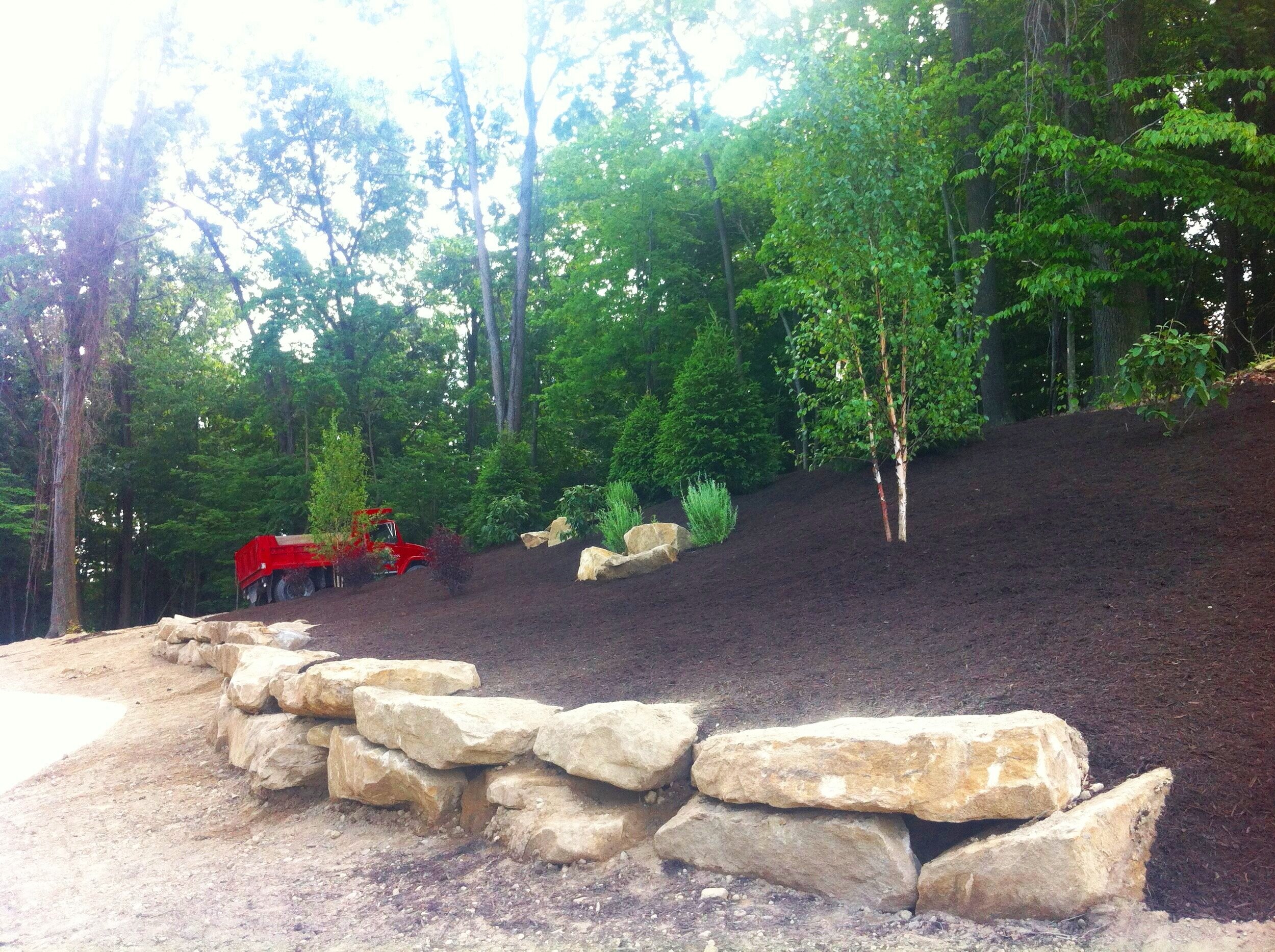 Solutions Landscapes & Designs