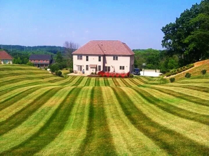 Solutions Landscapes & Designs