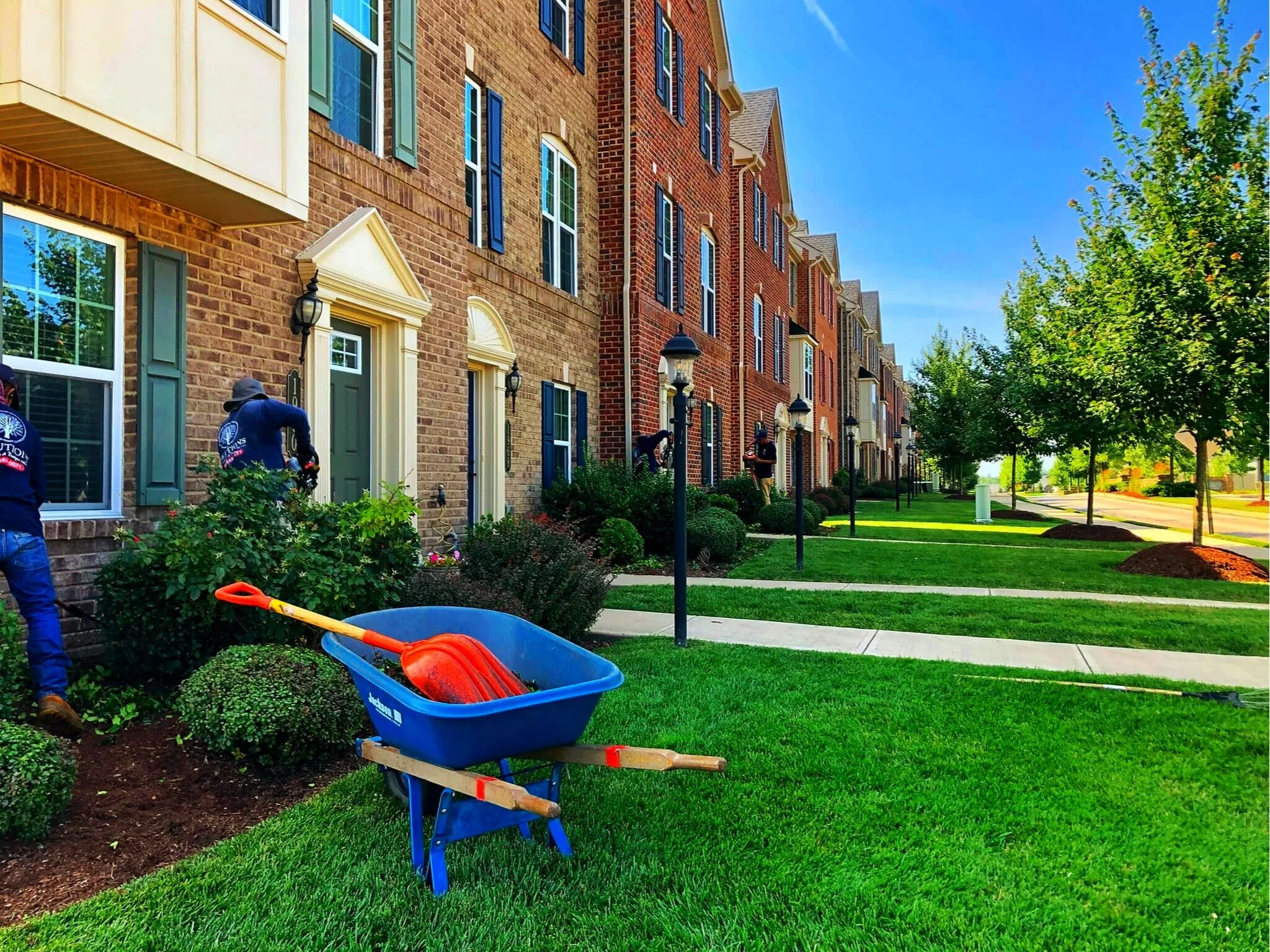 Solutions Landscapes & Designs