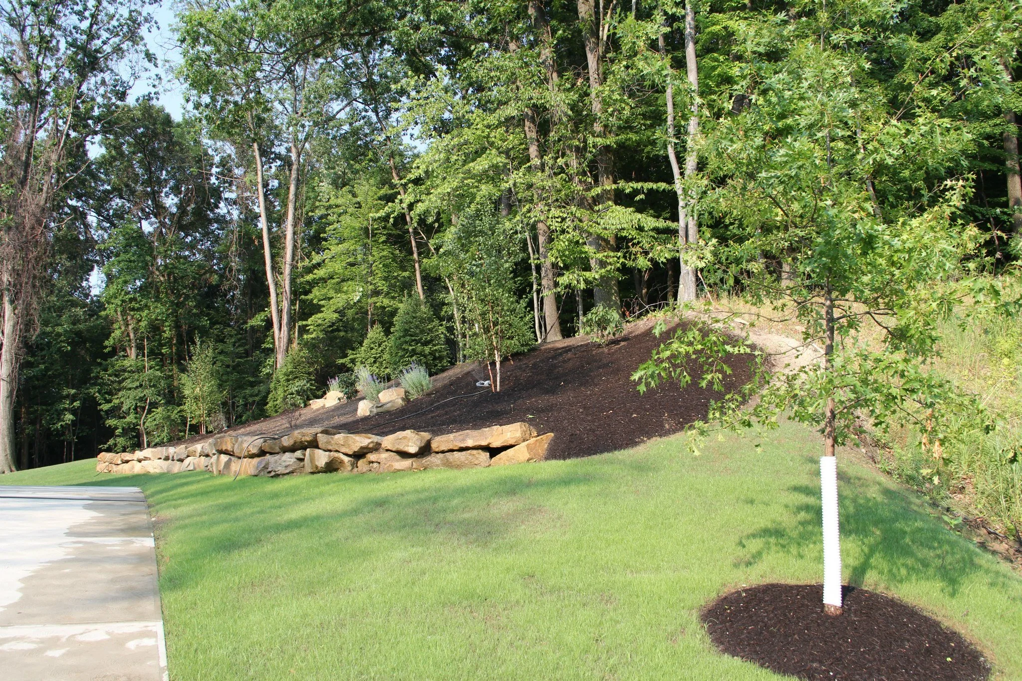 Solutions Landscapes & Designs