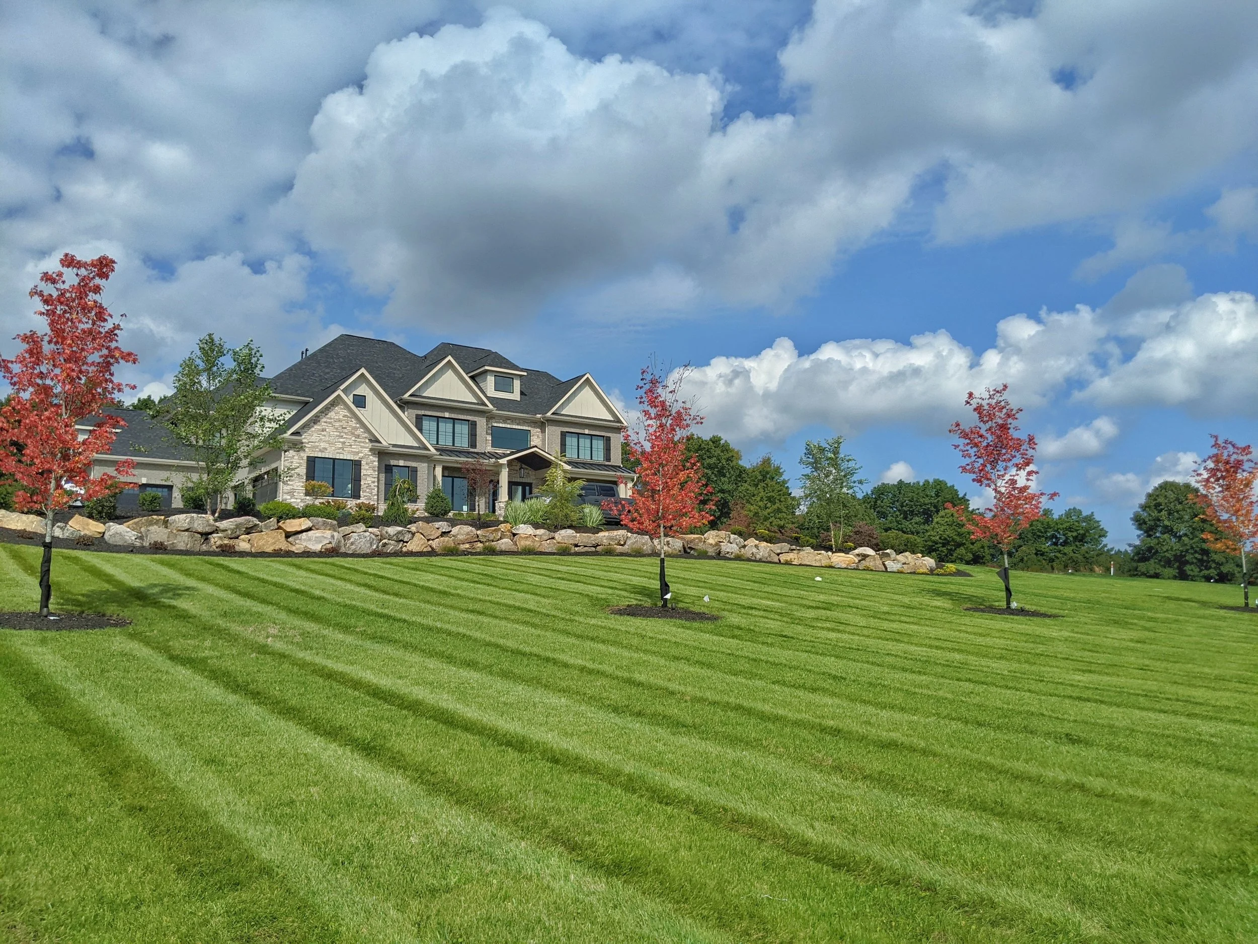 Solutions Landscapes & Designs