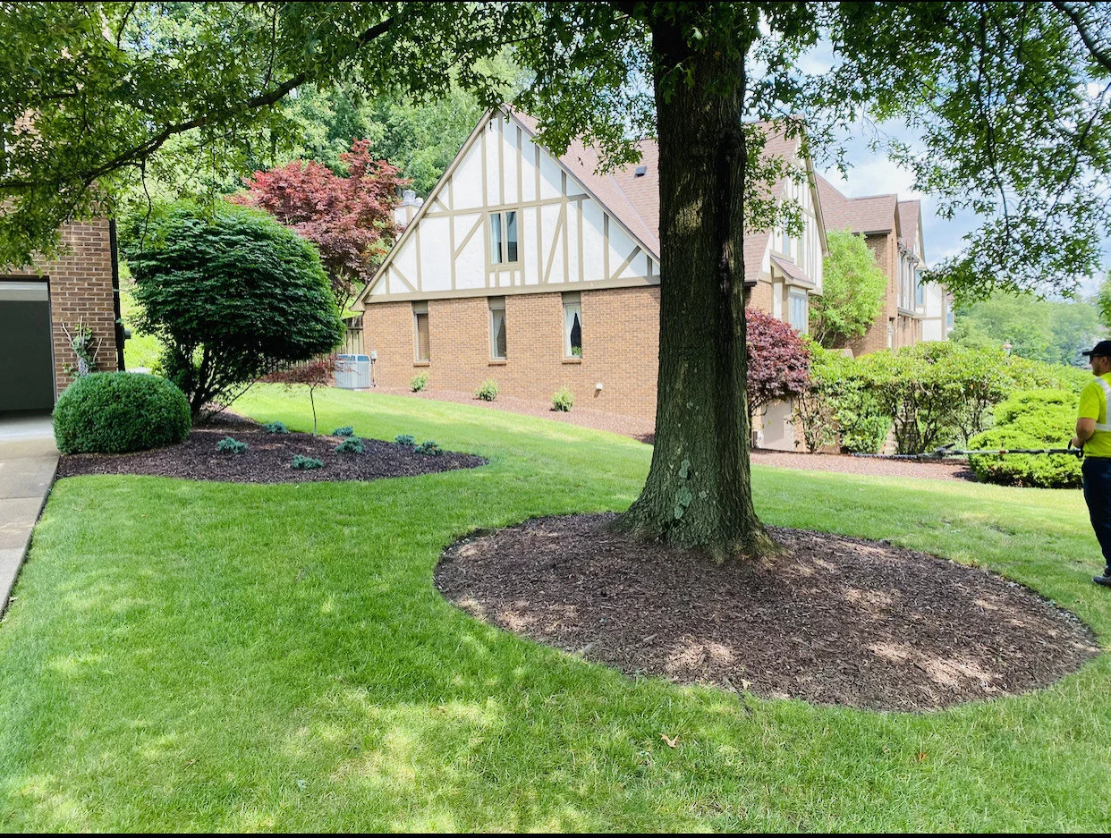 Solutions Landscapes & Designs