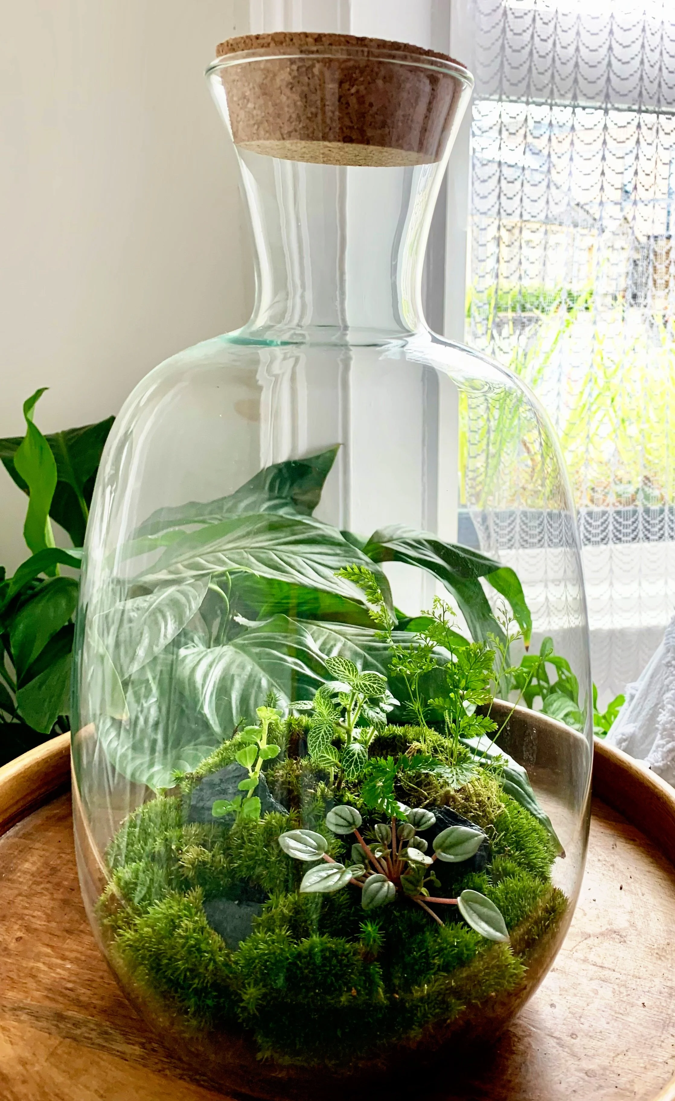 Unique gifts handmade in Ireland — Little Eden Terrariums