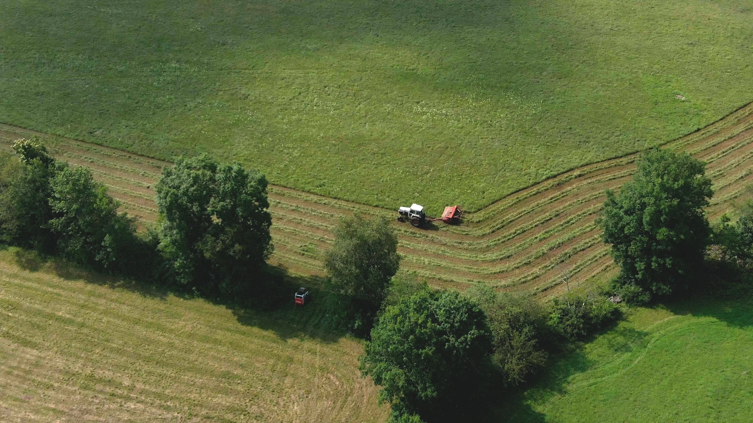 develop a zero-carbon energy planet