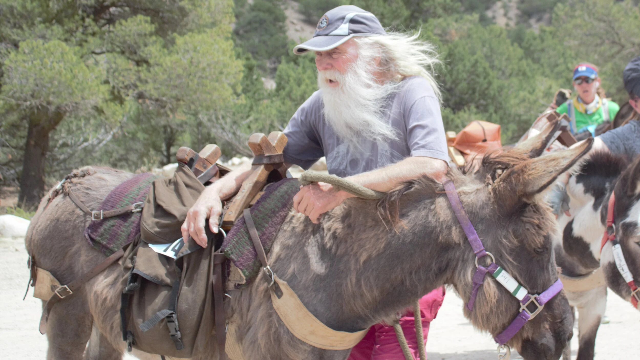 Bylaws — Western Pack Burro Ass-ociation