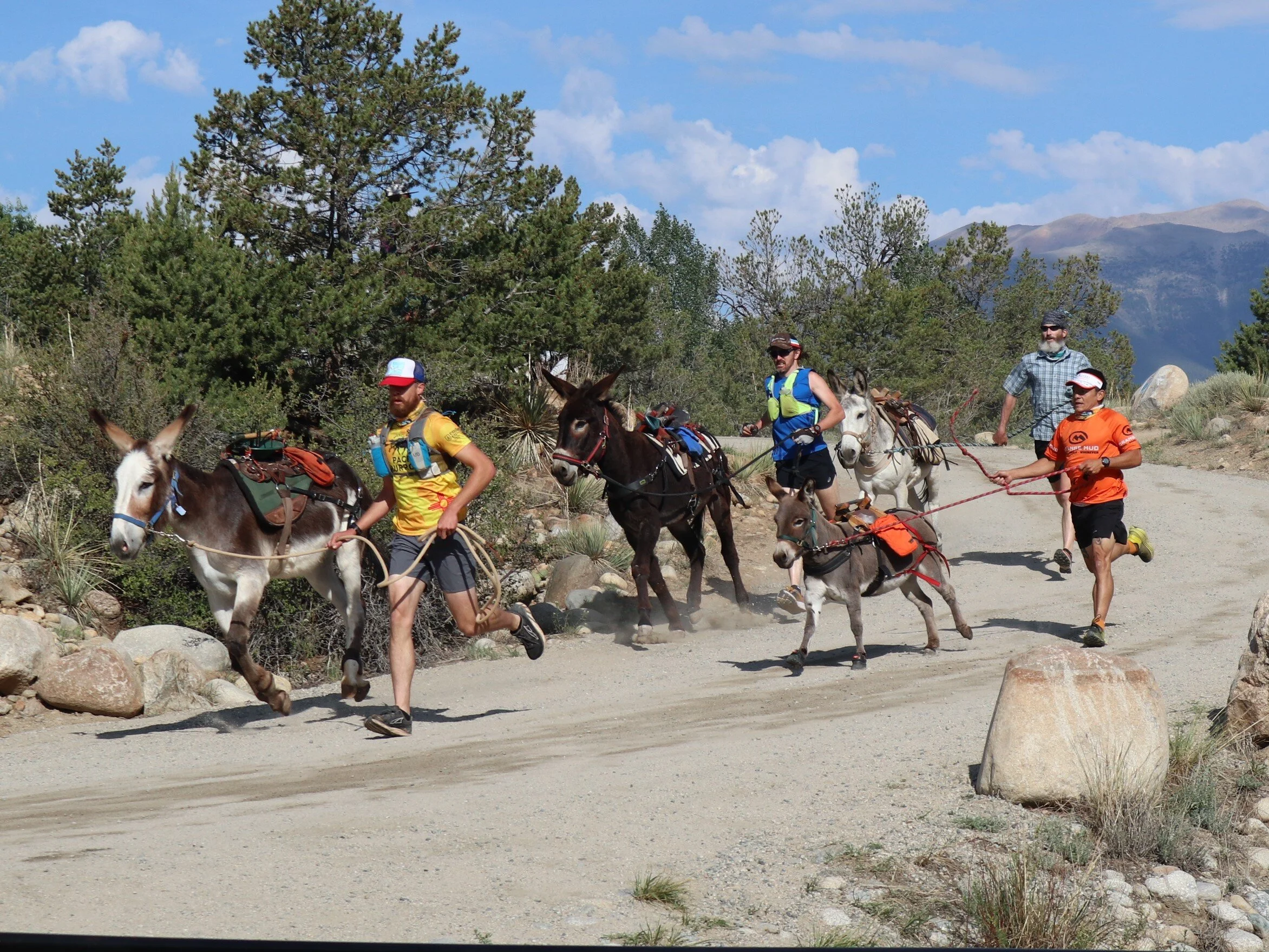 General 2 — Western Pack Burro Ass-ociation