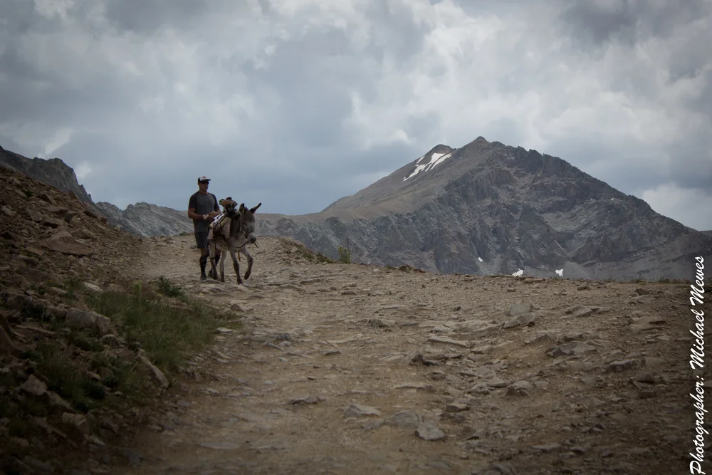 Rules & Bylaws — Western Pack Burro Ass-ociation