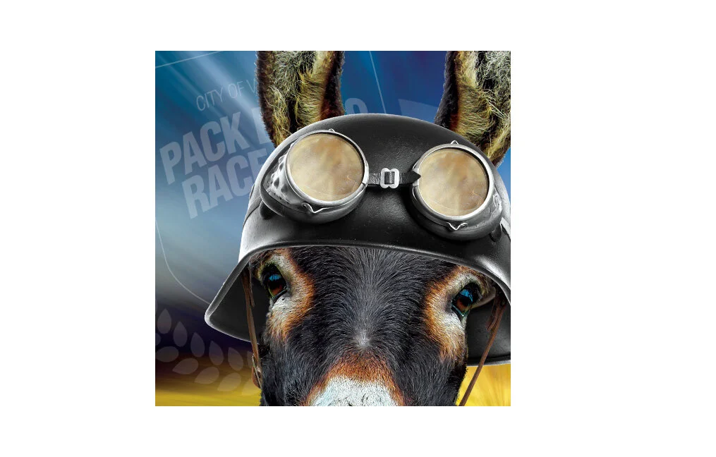 Burro Race Schedule — Western Pack Burro Ass-ociation