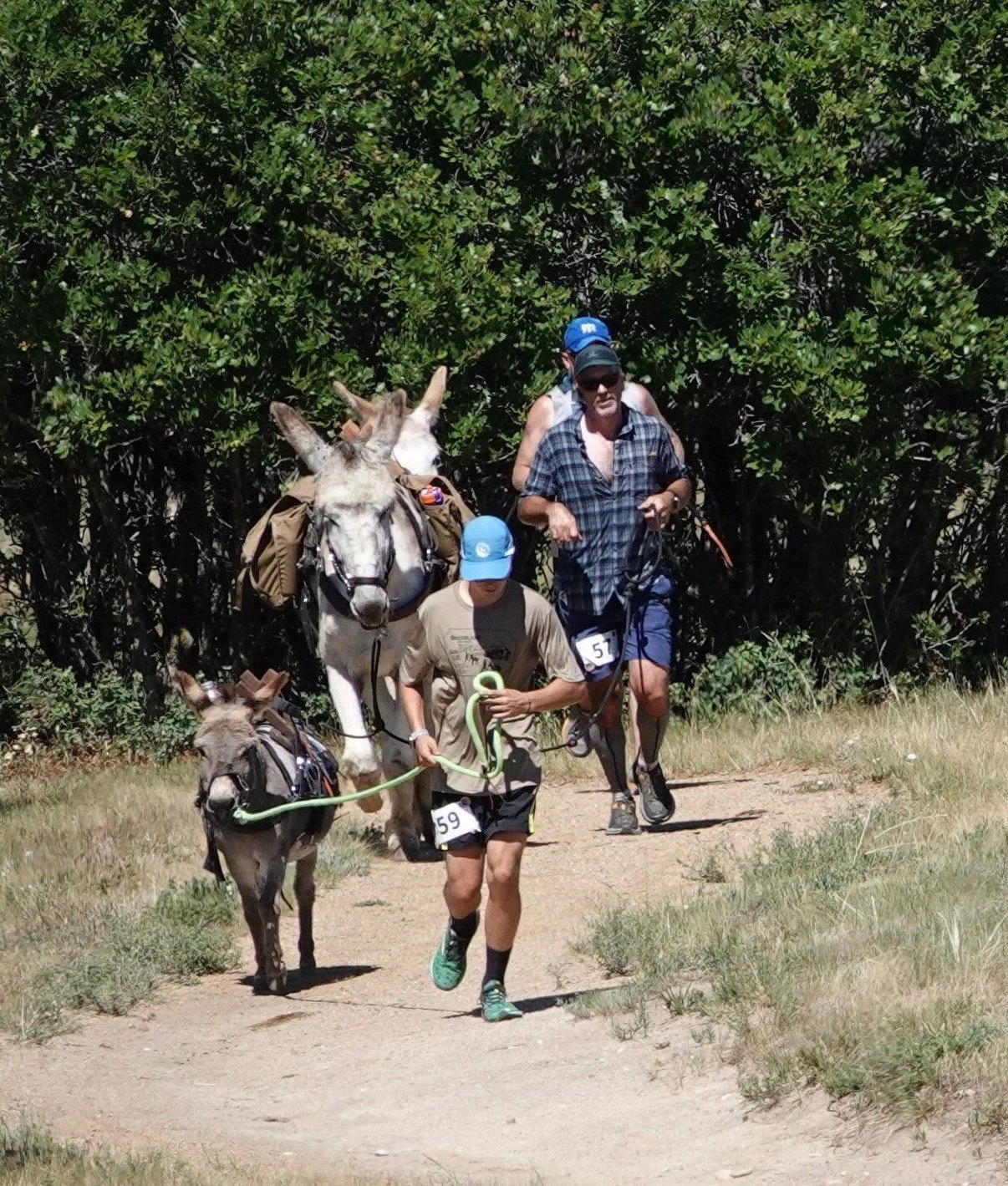 WPBA Store — Western Pack Burro Ass-ociation