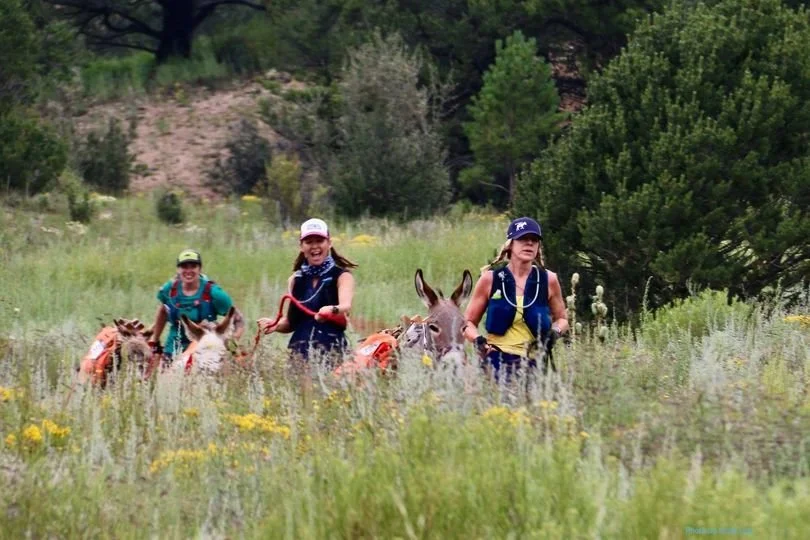 WPBA Store — Western Pack Burro Ass-ociation