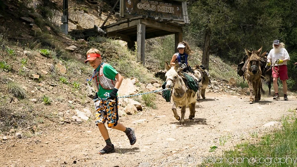 Burro Race Schedule — Western Pack Burro Ass-ociation