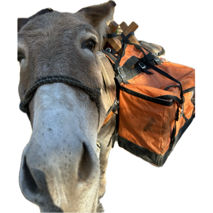Burro Race Schedule — Western Pack Burro Ass-ociation