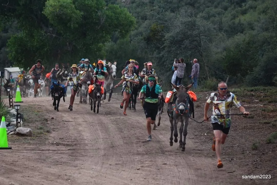 Burro Race Schedule — Western Pack Burro Ass-ociation