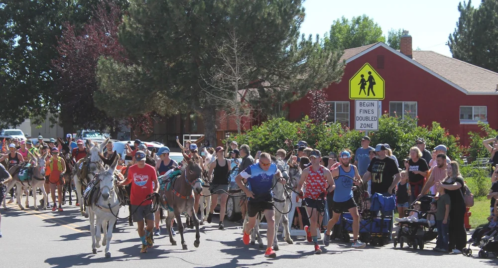 Burro Race Schedule — Western Pack Burro Ass-ociation