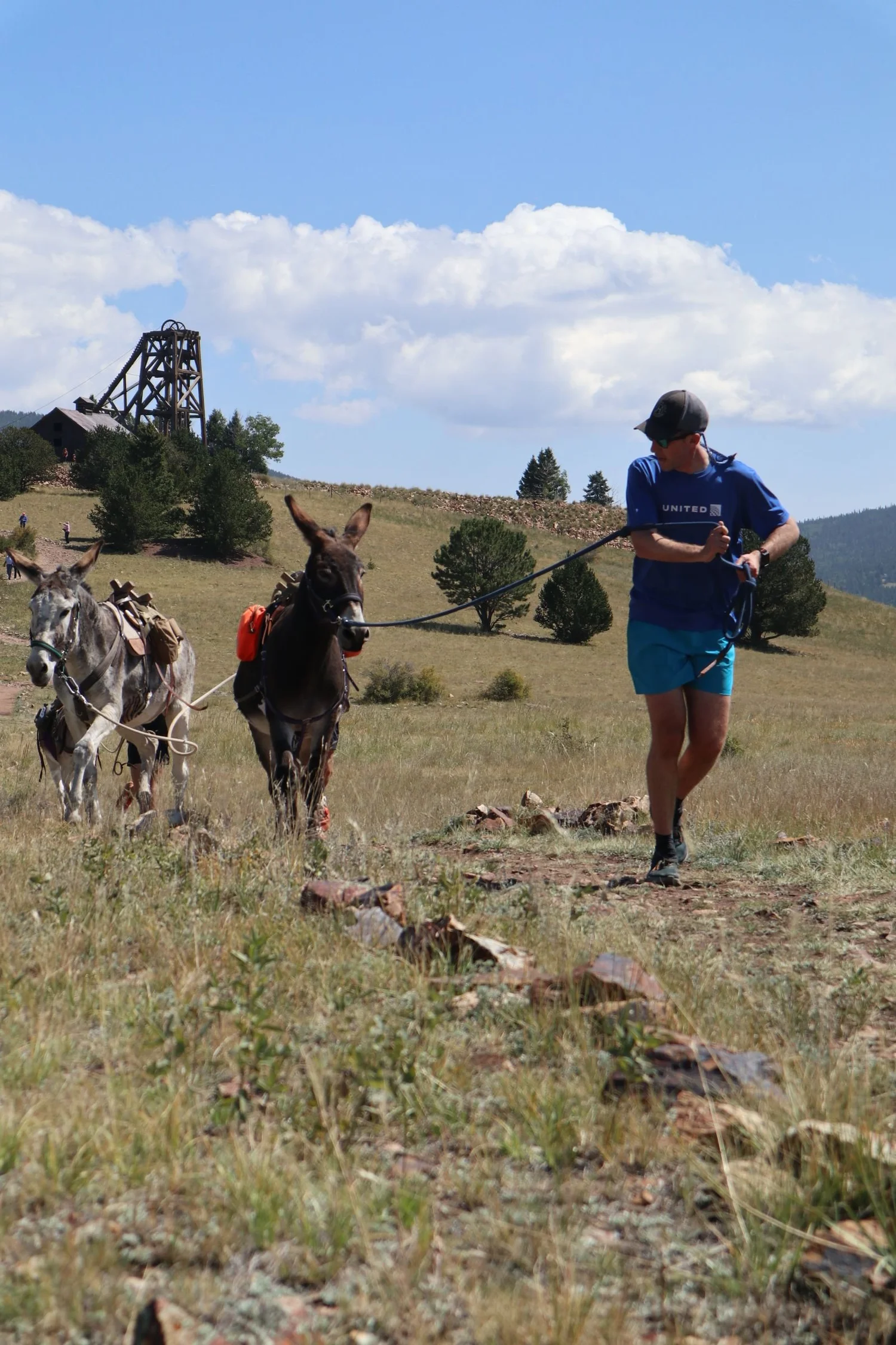 Burro Race Schedule — Western Pack Burro Ass-ociation
