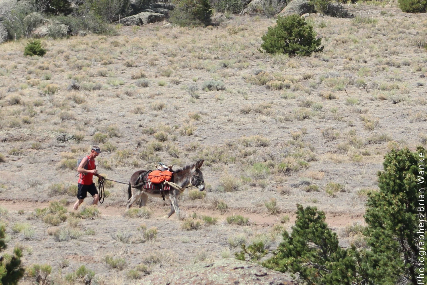 Burro Race Schedule — Western Pack Burro Ass-ociation
