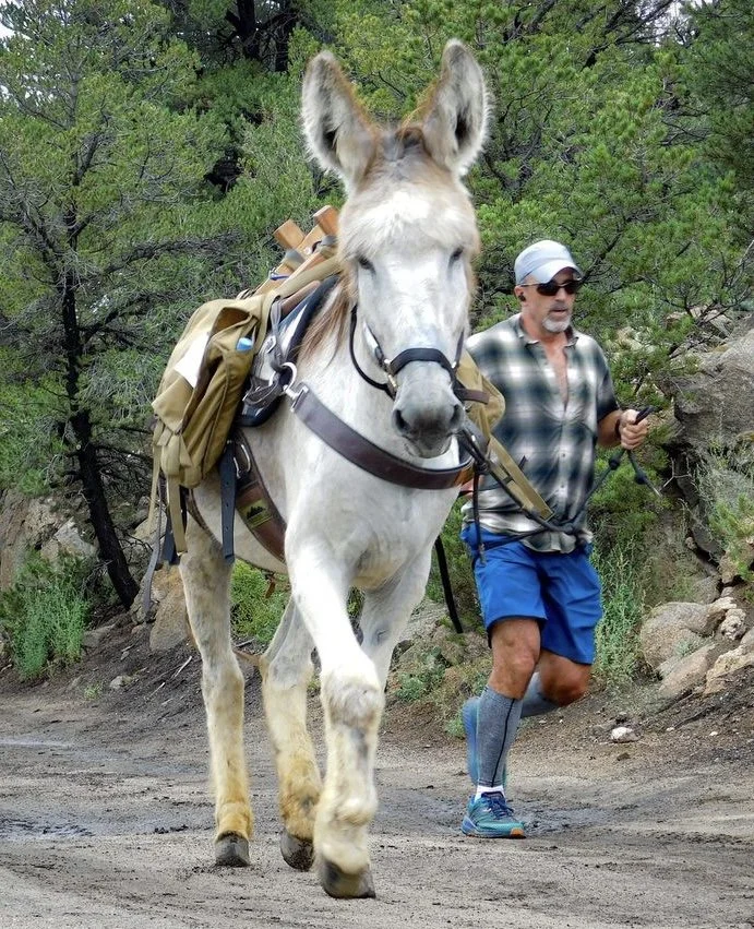 General 2 — Western Pack Burro Ass-ociation