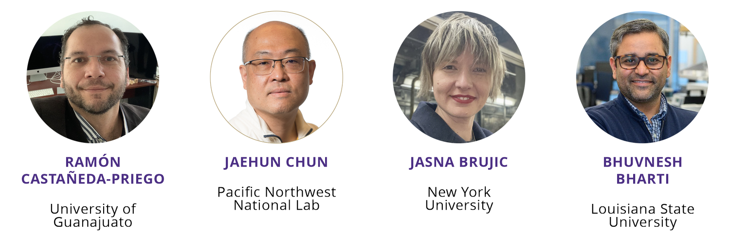 Technical Sessions — ACS CSSS 2024