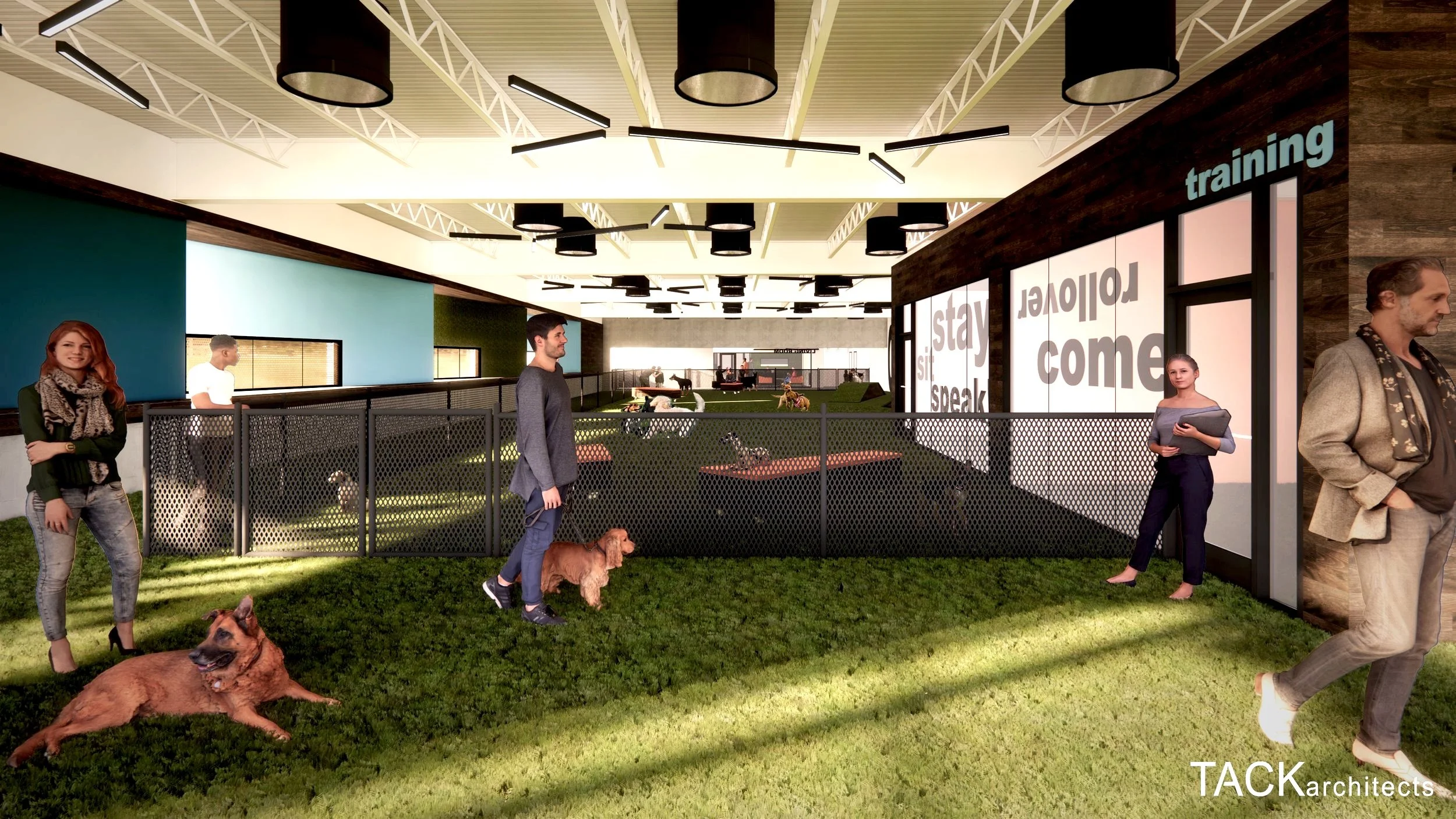 Tails of the Park: The History and Future of Dog Parks — Wünderhund